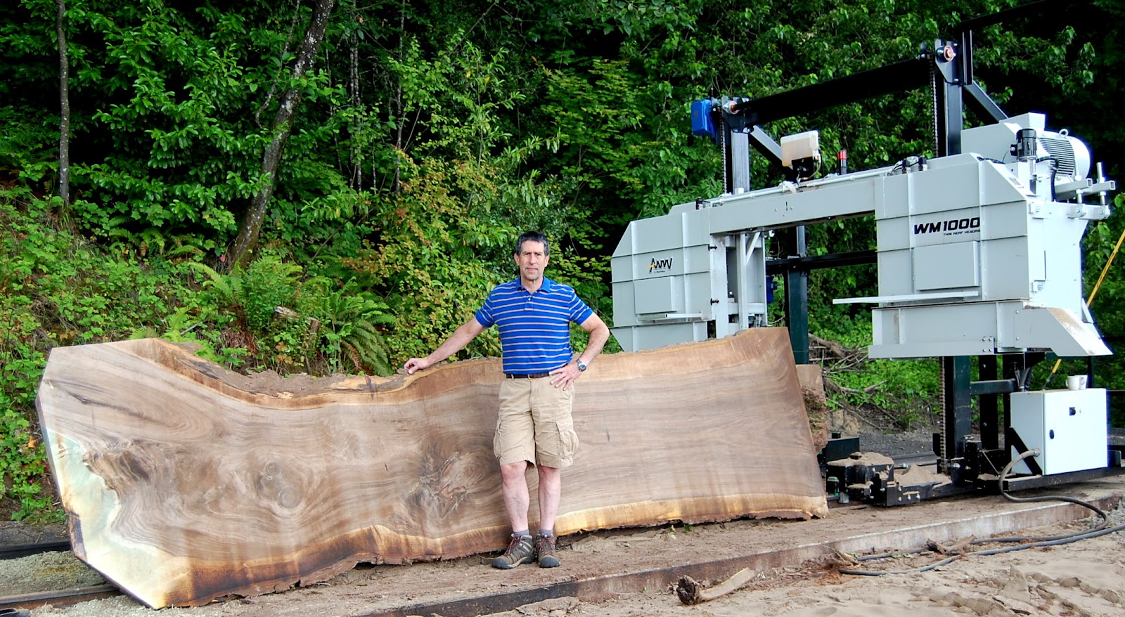 Wood-Mizer LLC: Massive Wood-Mizer Sawmill provides new Profits for ...