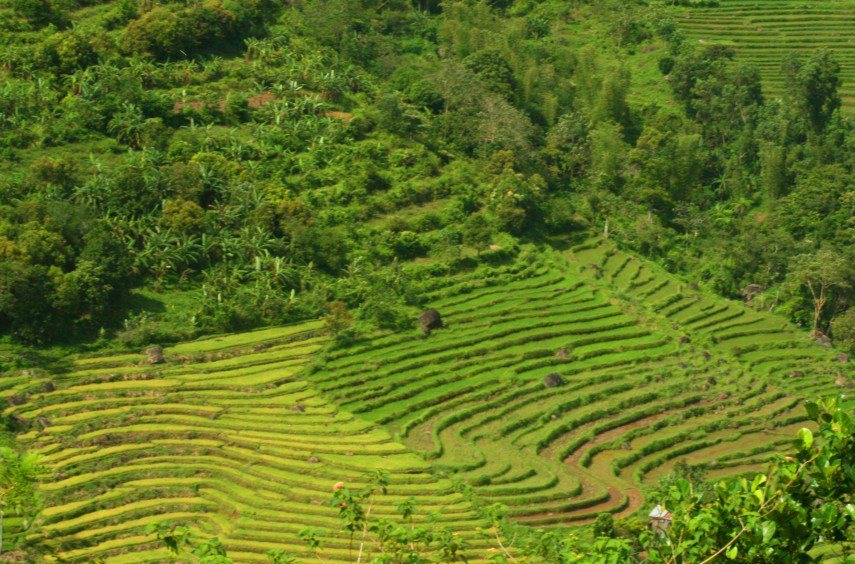 A quick stop-over at our friends' lovely hide-away with our balikbayan ...