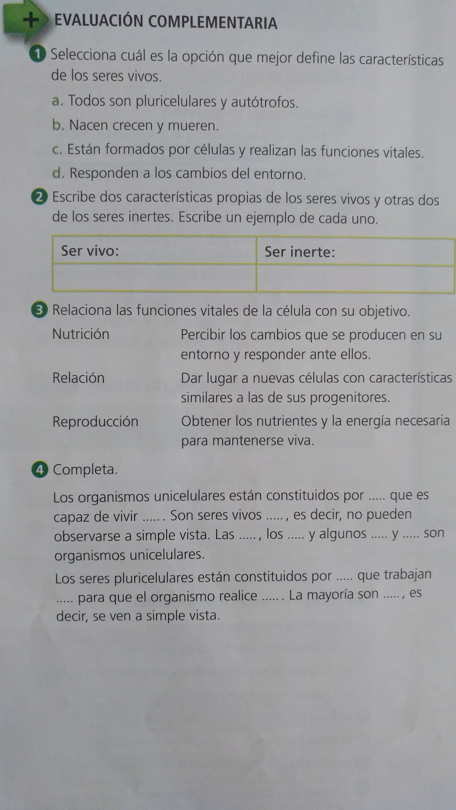 English School Repaso Unidad 1 Seres Vivos English School Repaso Unidad 1 Seres Vivos
