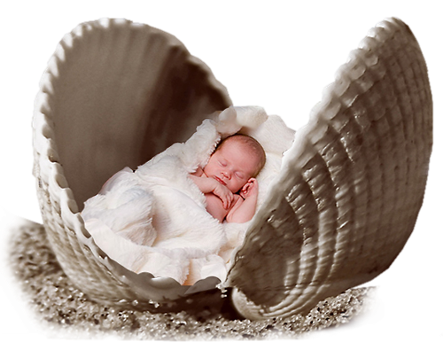 ForgetMeNot: Children and seashells
