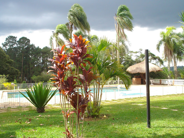 Sitio Morada do Vento: Sitio Morada do vento Ibiúna