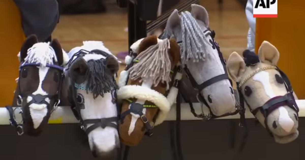 Hobby Horse Poland: Czym jest Hobby Horsing?