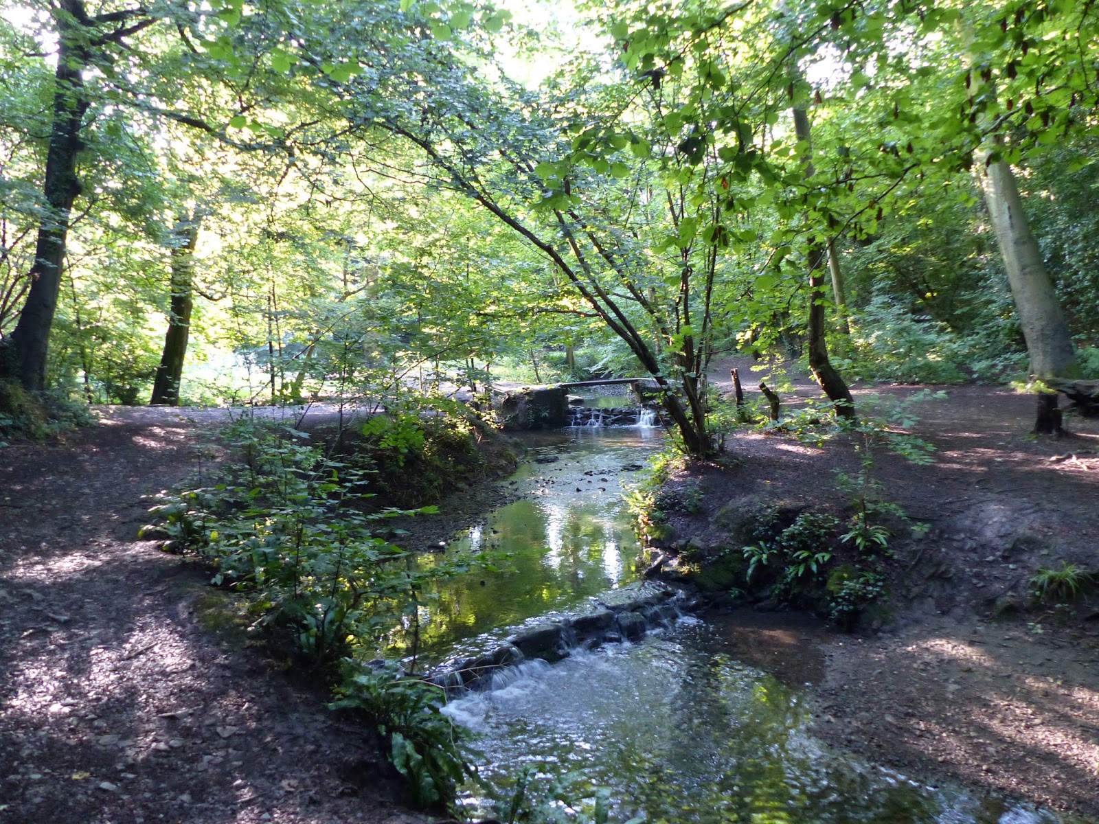 Badock's Wood - a personal view: August 2015