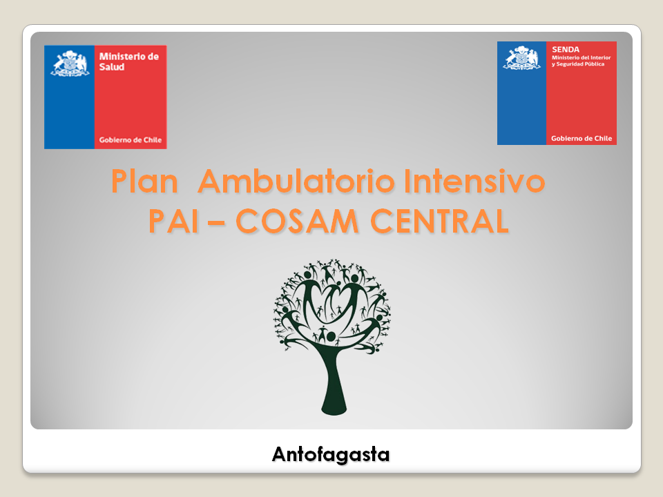 Mesa de Tratamiento Antofagasta: PAI Cosam Central