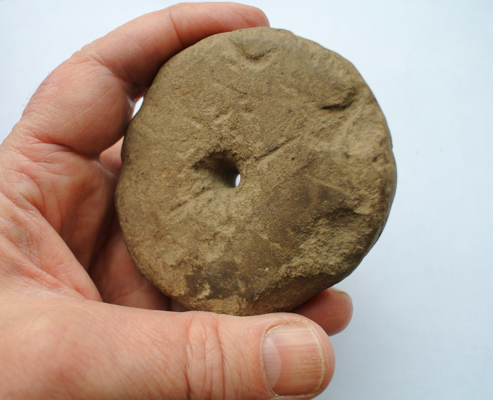 A History of Leighton Moss: Bearded Tits and Drizzle Cake