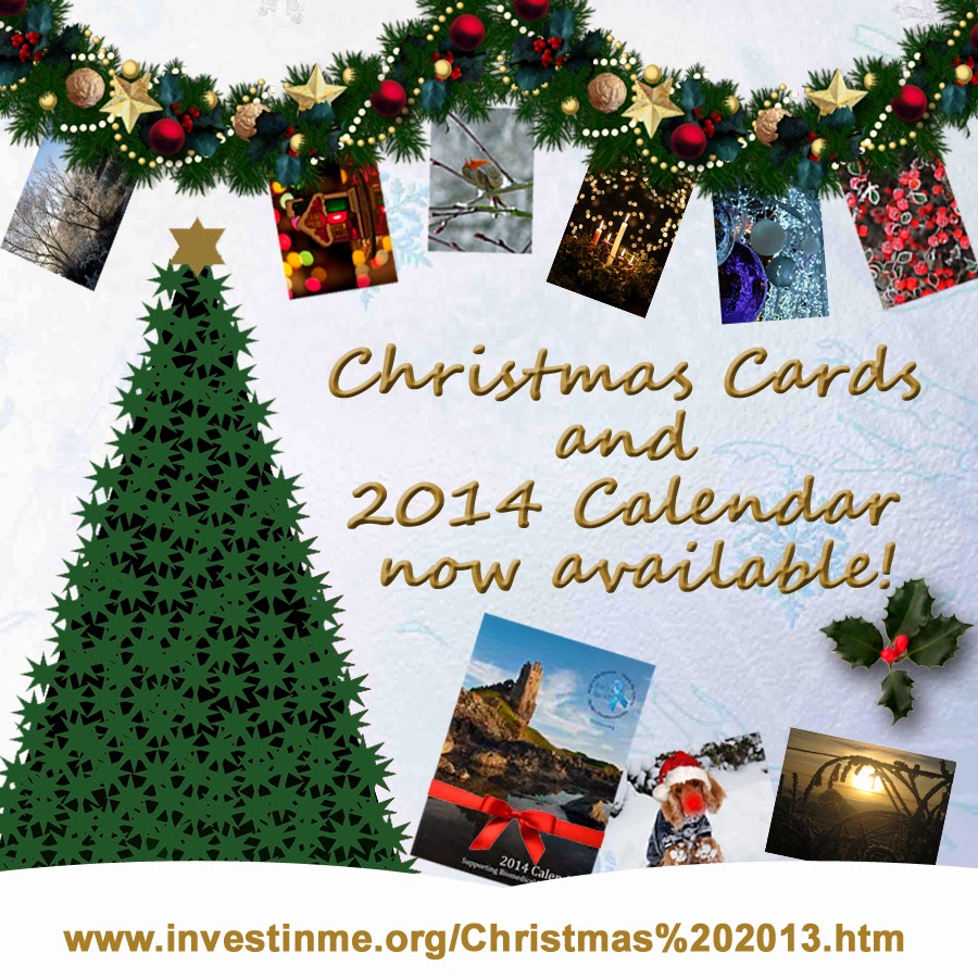 Let's Do It for ME!: Christmas Cards and 2014 Calendar now available!