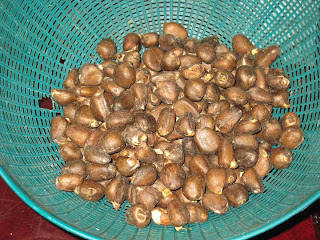 TchaTchaTchaKreyol: TchaTcha Toys, Haitian Food Names,Tchaka, Tyaka ...