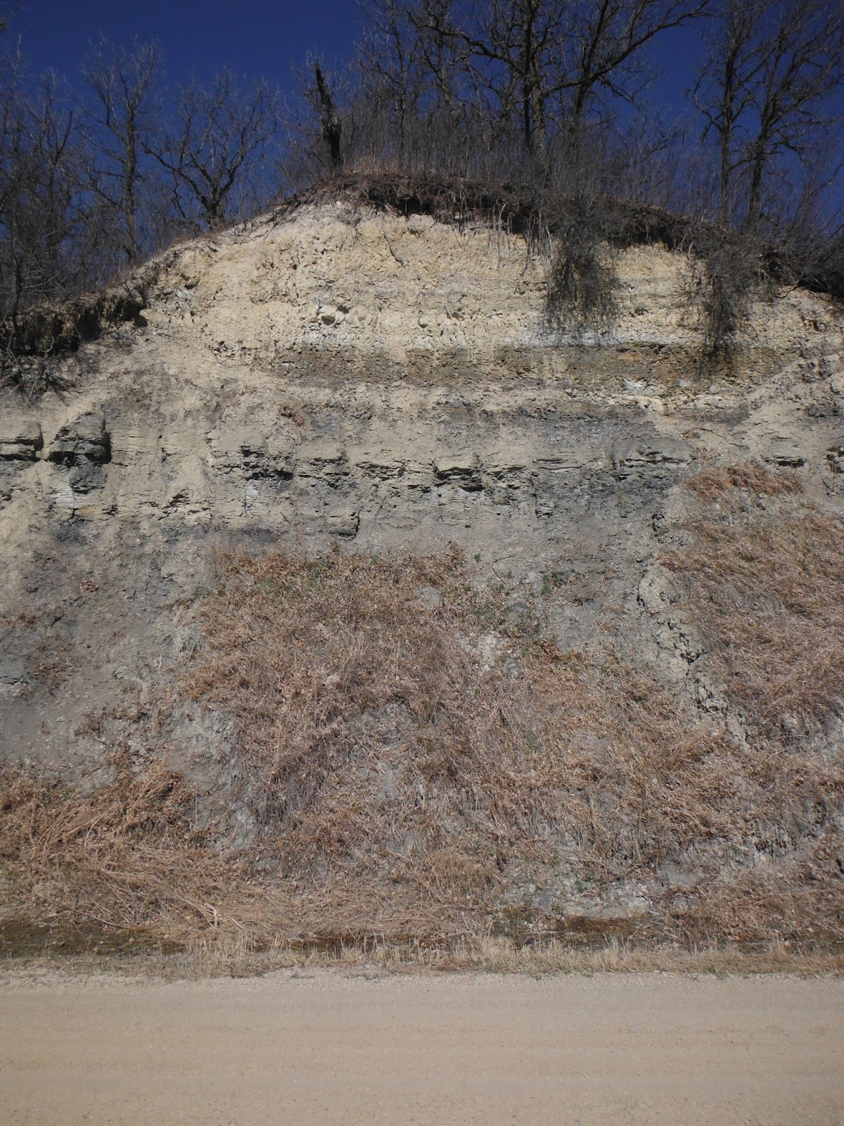 Manitoba Geology: The Manitoba Escarpment - vestiges of an ancient ocean