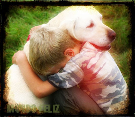 Tu perro te conoce más de lo que te imaginas. - Mundo Feliz