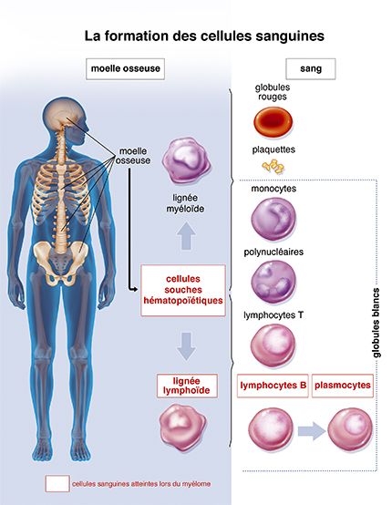 Actualités Scientifiques - Médicales: #thelancethaematology # ...