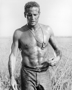 Love Those Classic Movies!!!: Cool Hand Luke (1967) "On the chain gang"
