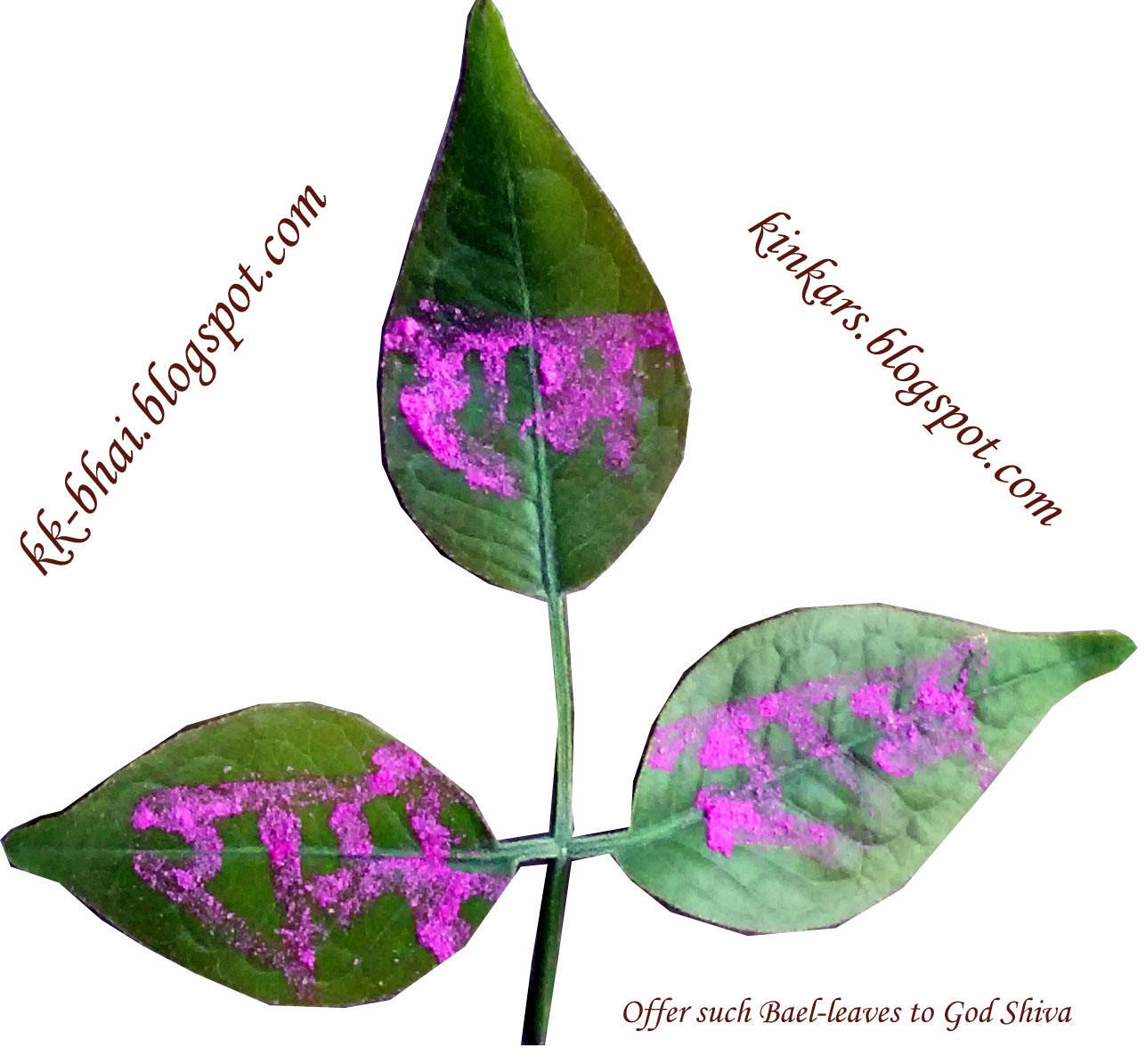 Adhyatma (अध्यात्म): Importance of 'Bilva Patra' in "Shiv-Pujan ...