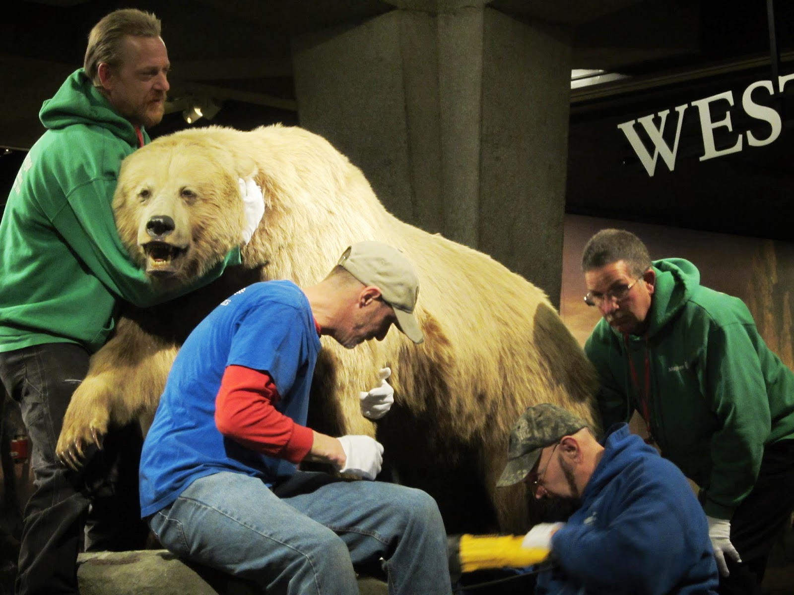 Dodge Moving & Storage a Mayflower Agent