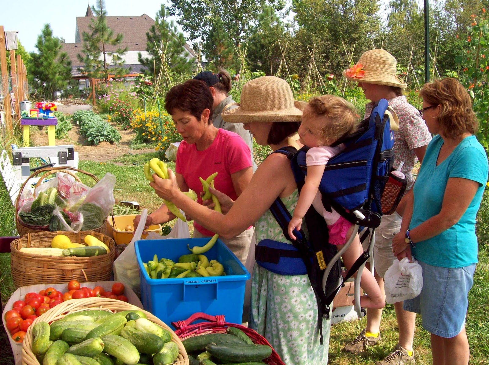 The Sharing Gardens : "Sharing Gardens" for Local Food Security