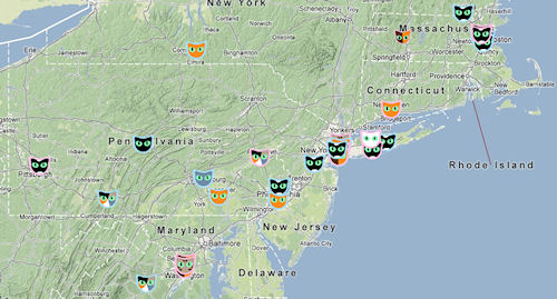 The Presurfer: Cat Map