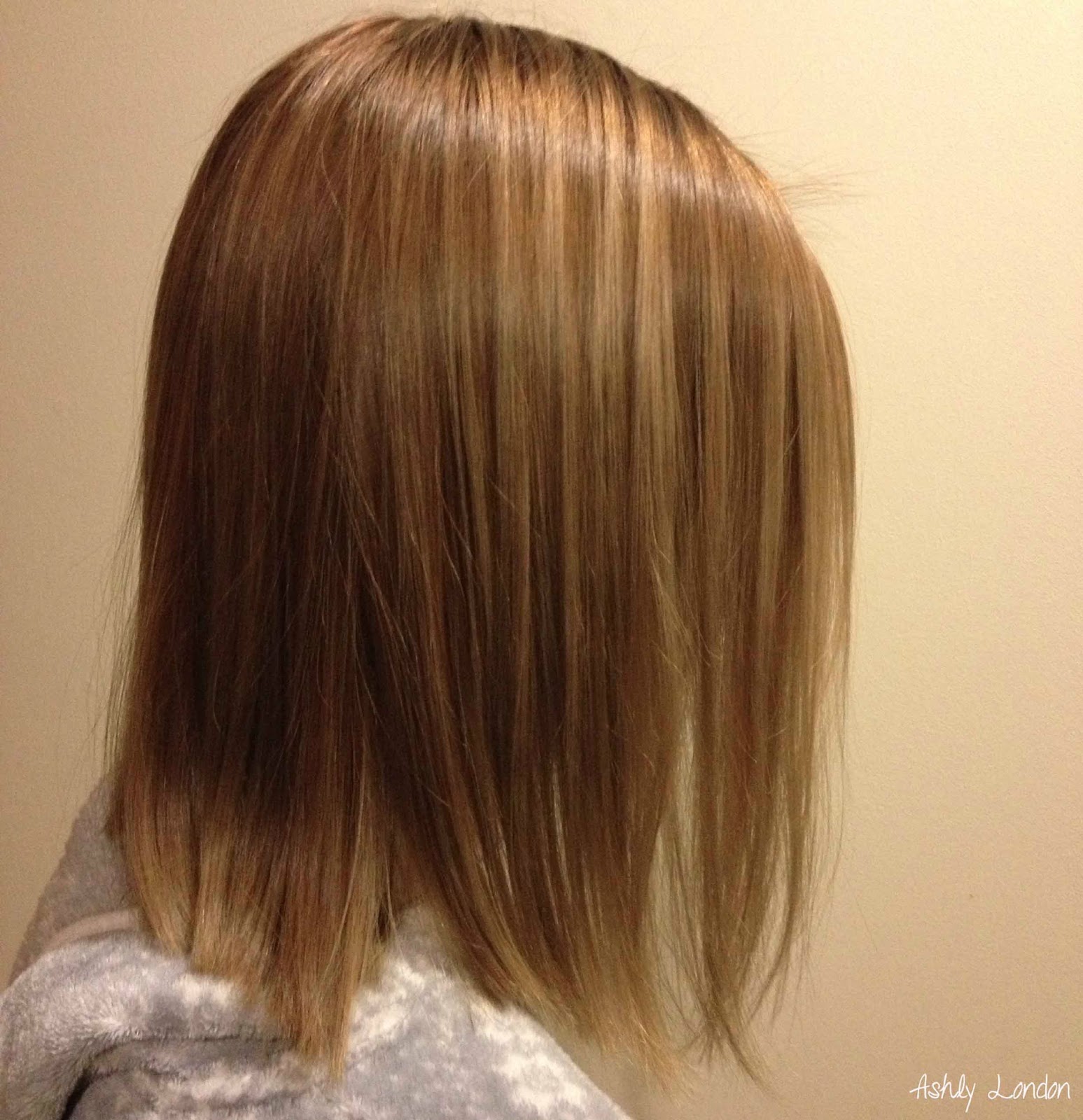 Ashly Rae Beauty Lifestyle Health Fitspo And Inspiration Review Garnier Olia Permanent