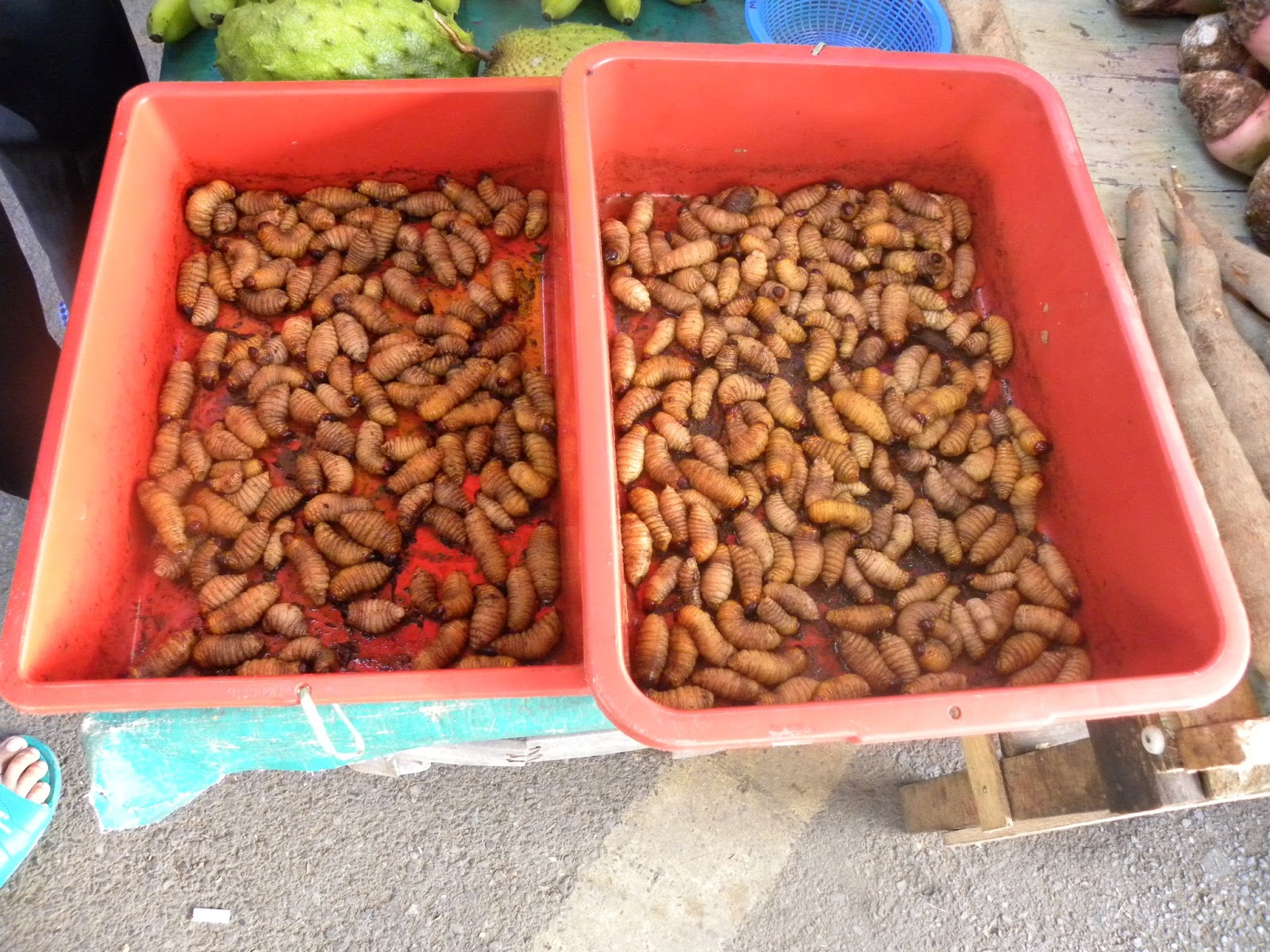 MY STORY - MISSA: Makanan Exotic dan pelik di Sarawak