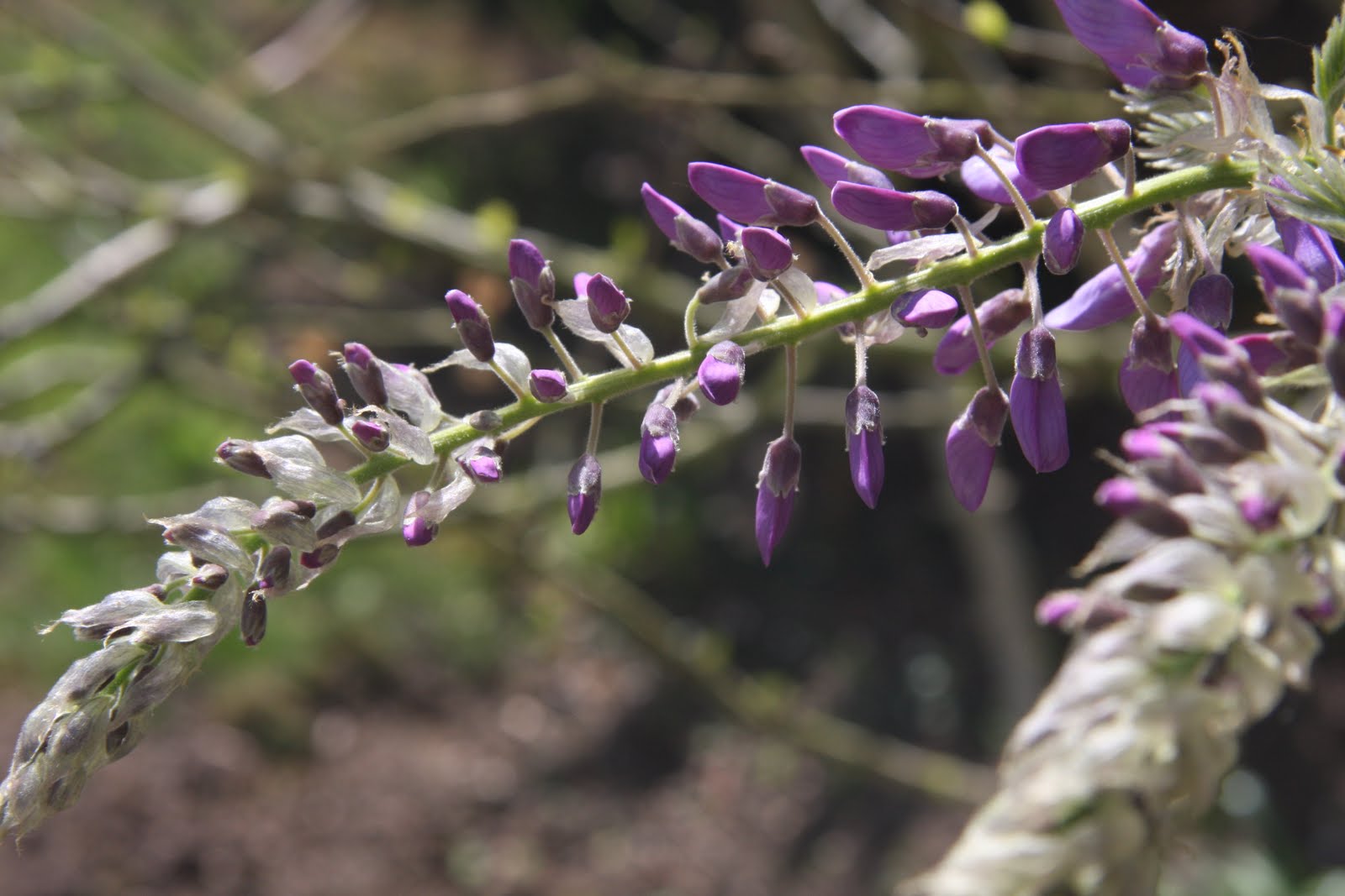 A Level Art Blog: May 2011