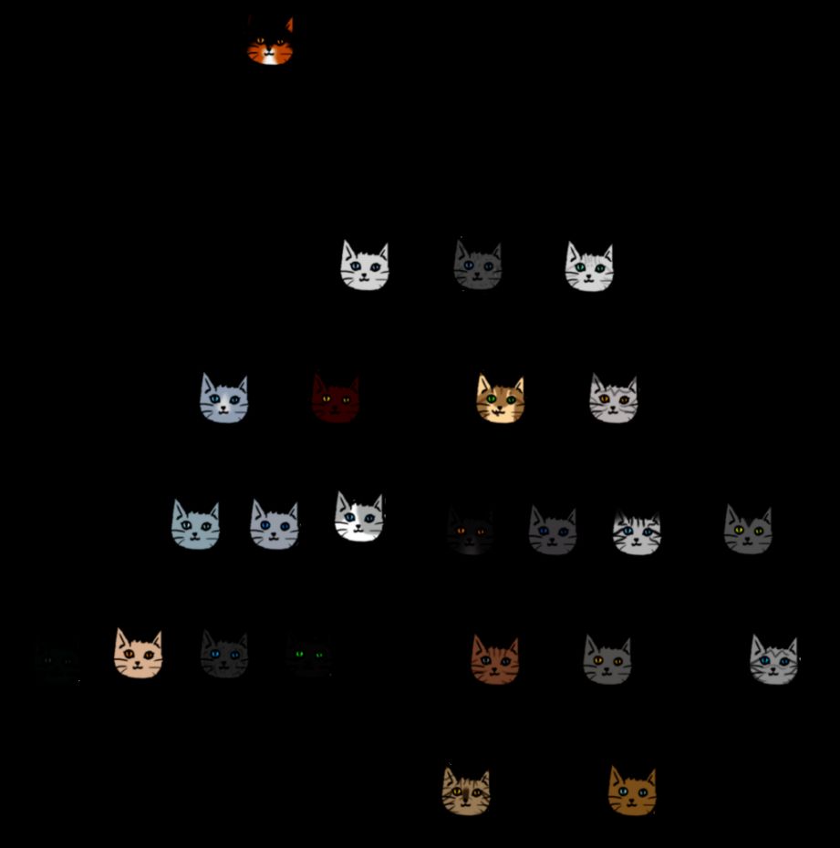 Warrior Cats Bluestars Family Tree | Amazing Wallpapers