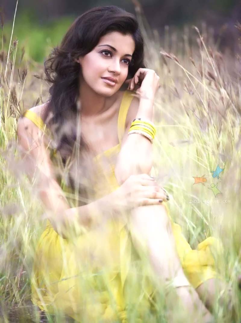 2014 HD Wallpapers 2014 Hot Wallpapers 2014 Bollywood HOT GirLs: Janvi ...