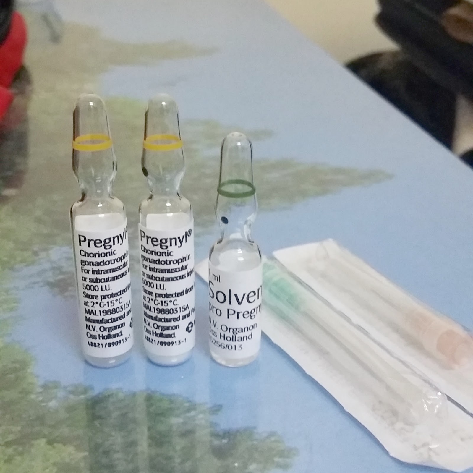 IVF journey: CD11, first TVS