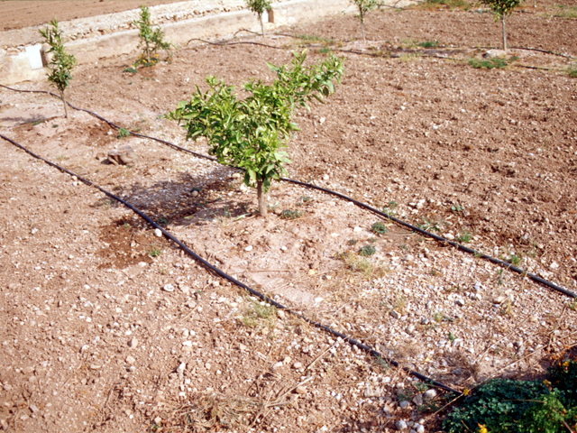 Agricultura destinará más de tres millones para modernizar el regadío ...