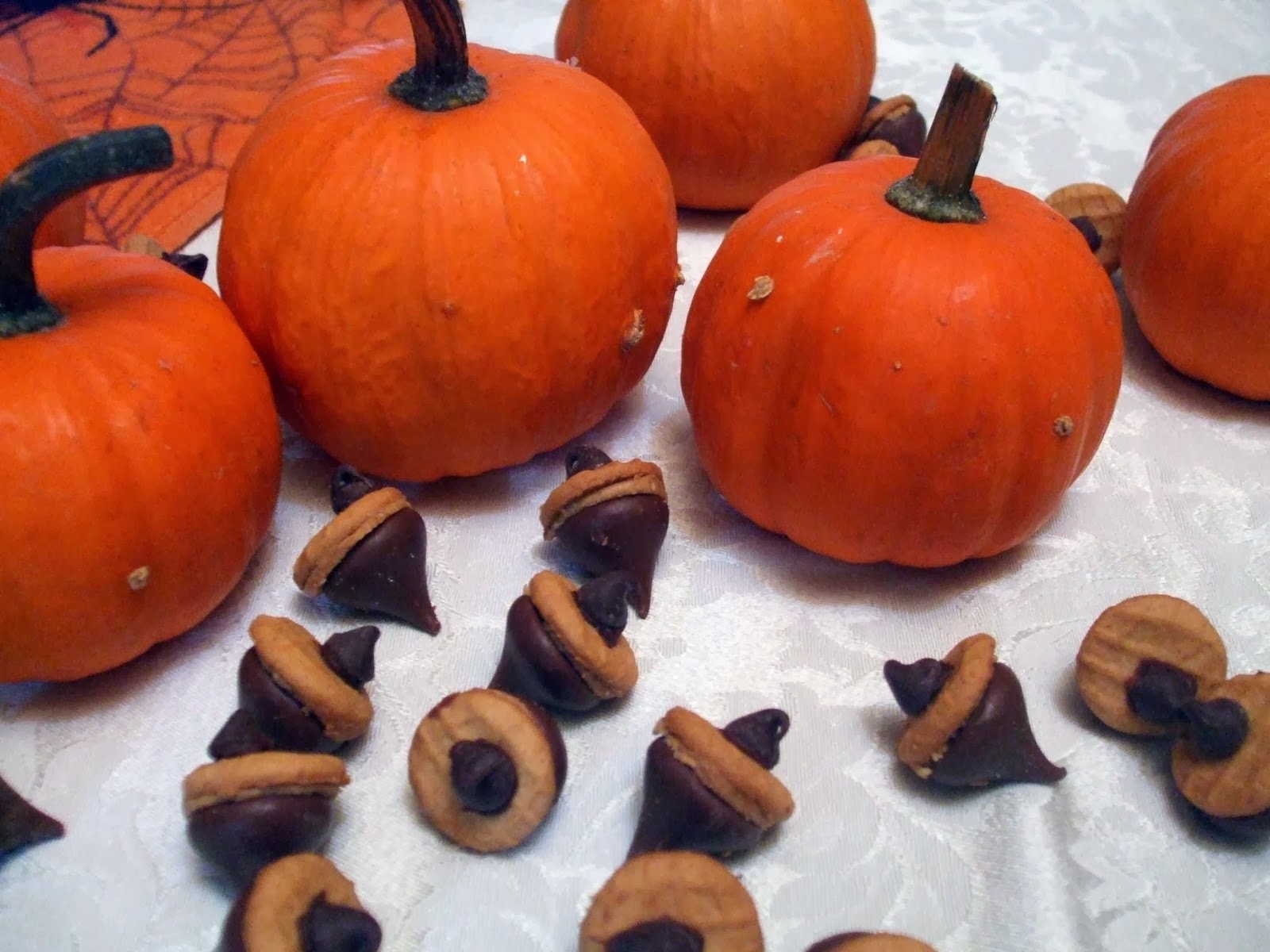 Rosemary's Sampler: Acorns!