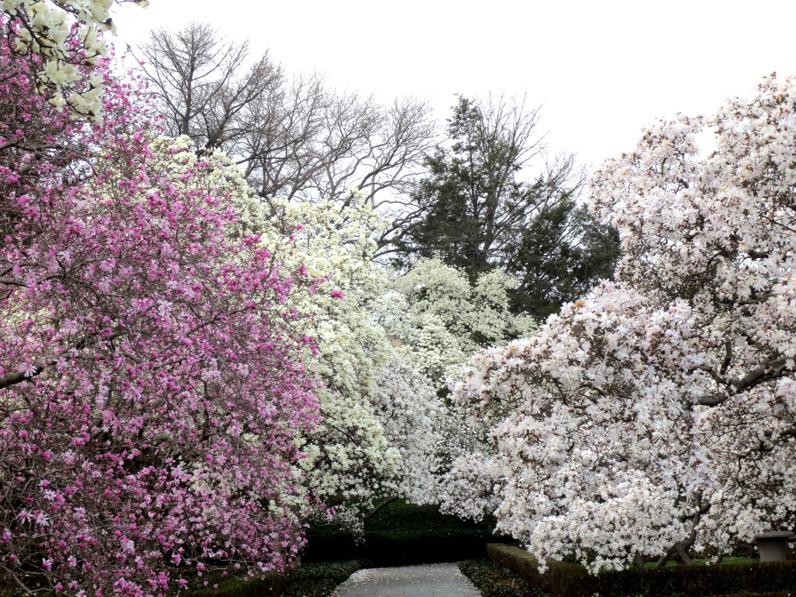 Big Apple Secrets: April 2013