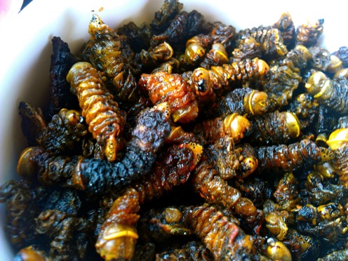 Embarking - To Africa and Beyond!: How to eat fried… Caterpillars?