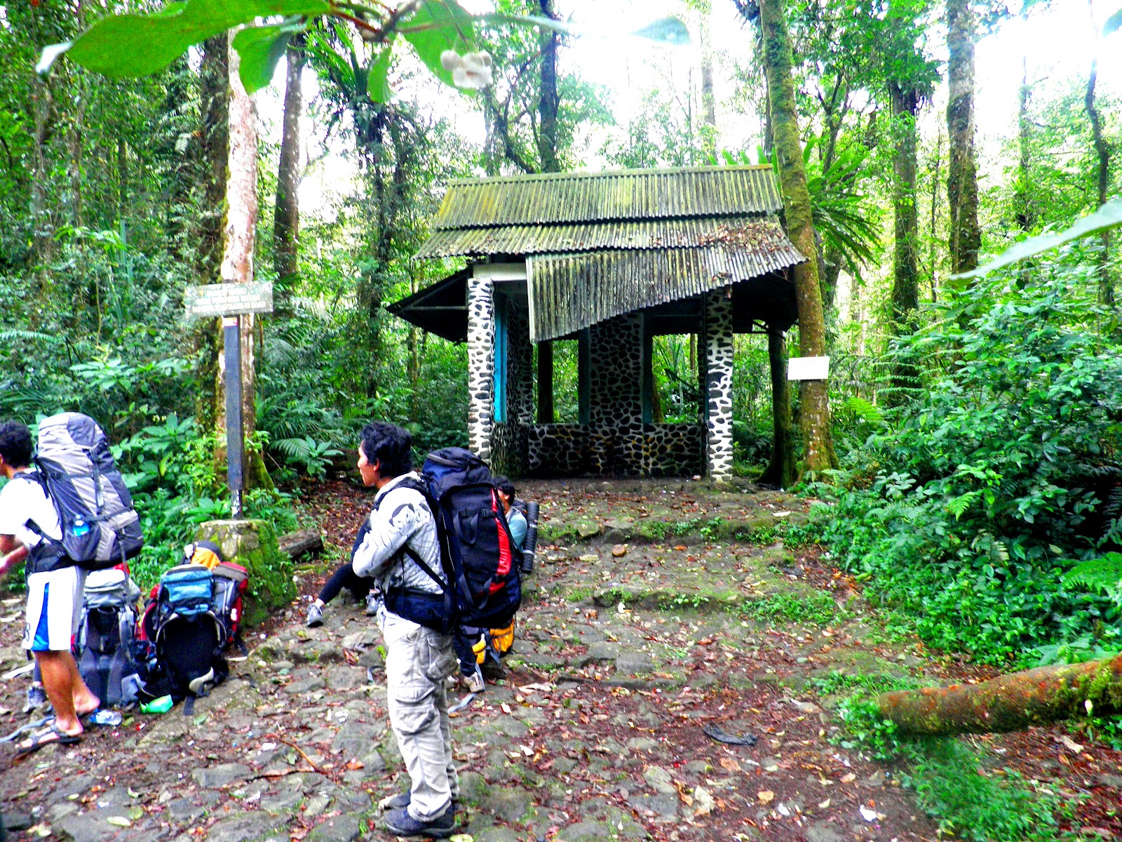Berburu Keindahan Alam di Telaga Biru Gunung Gede Pangrango ~ WISATA ALAM