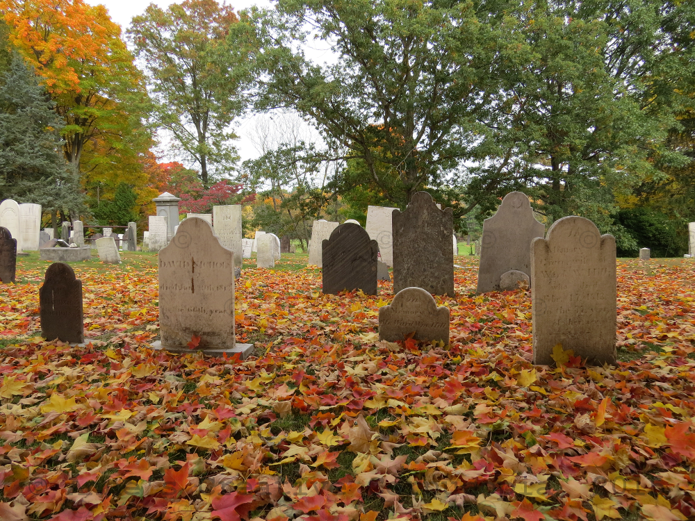 Anne's Creative Cornucopia: Fall Leaves and Cemetery Gravestones ...