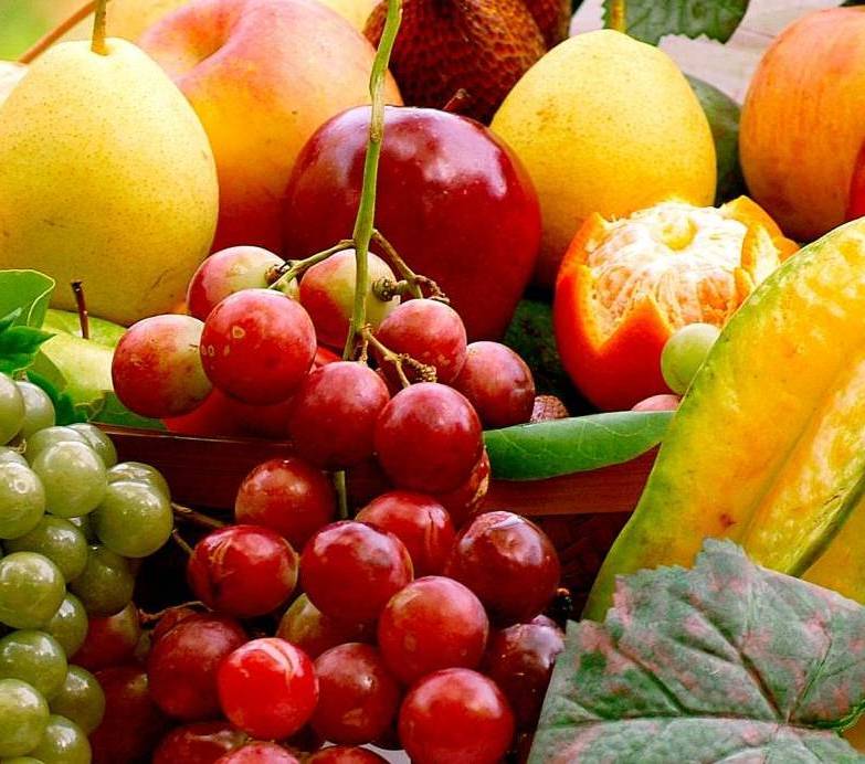 FOOD SCIENCE AND HUMAN NUTRITION: The symptoms of sucrose intolerance