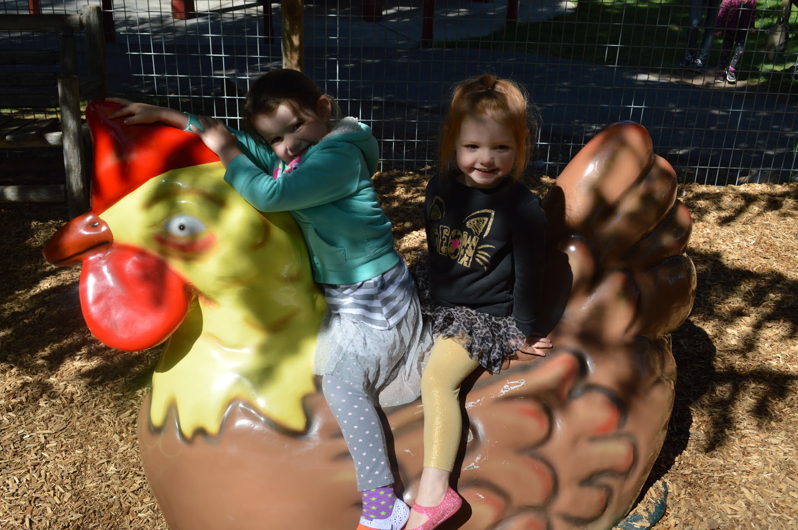Whitlee's Preschool Field Trip to the Zoo