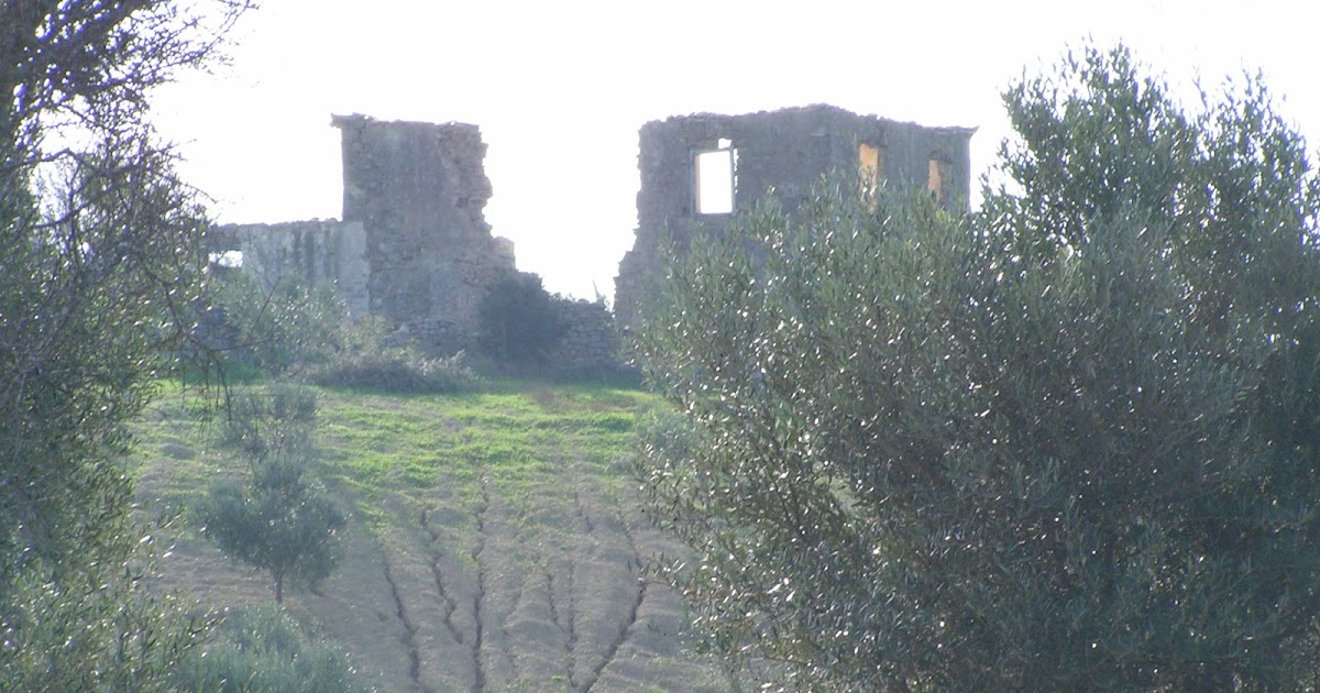 EXTRA VIRGIN OLIVE OIL: MASLINI....PUR SI SIMPLU O FRUMUSETE!