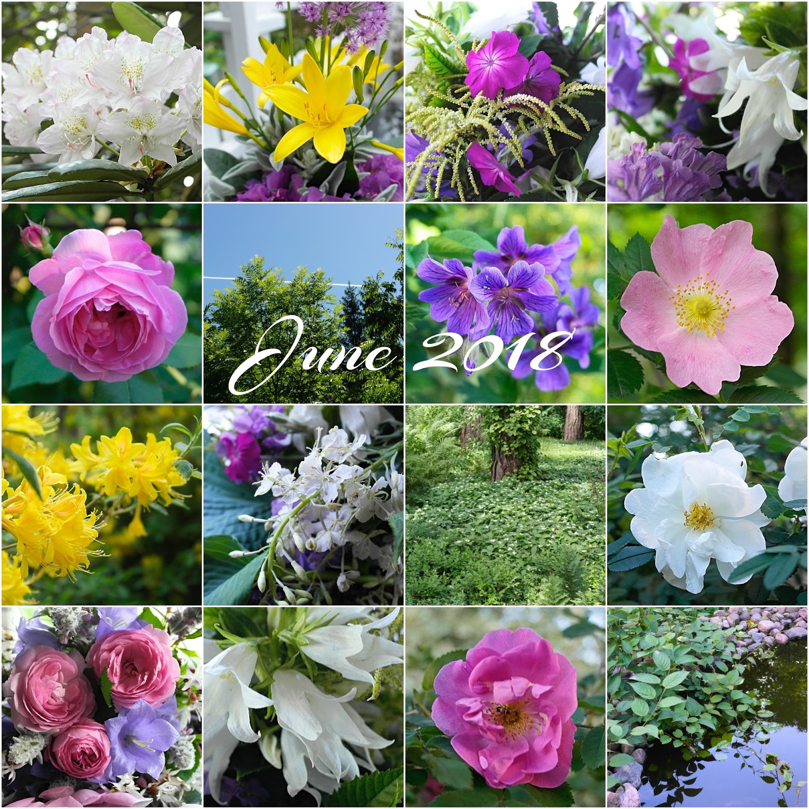 My June in Collage | HD Wallpapers Download