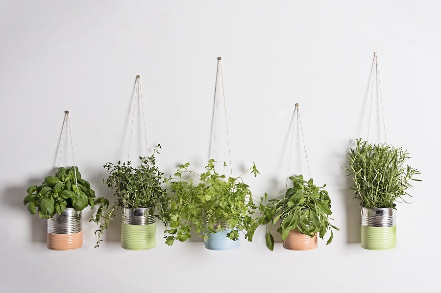 Faça você mesmo uma hortinha vertical em casa com latas Blog de ...