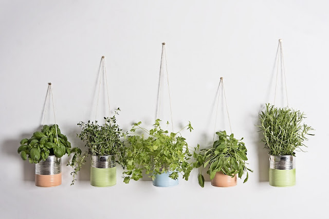 Faça você mesmo uma hortinha vertical em casa com latas Blog de ...