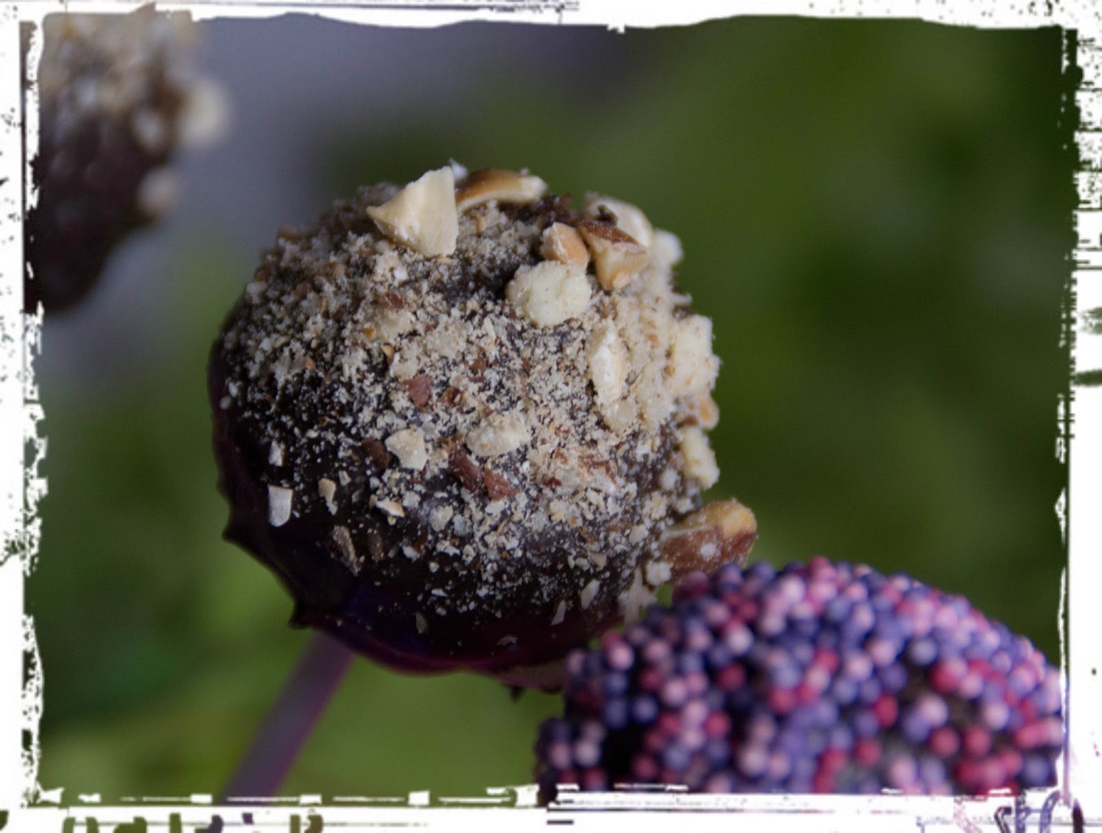 Popote et Nature: et Pop