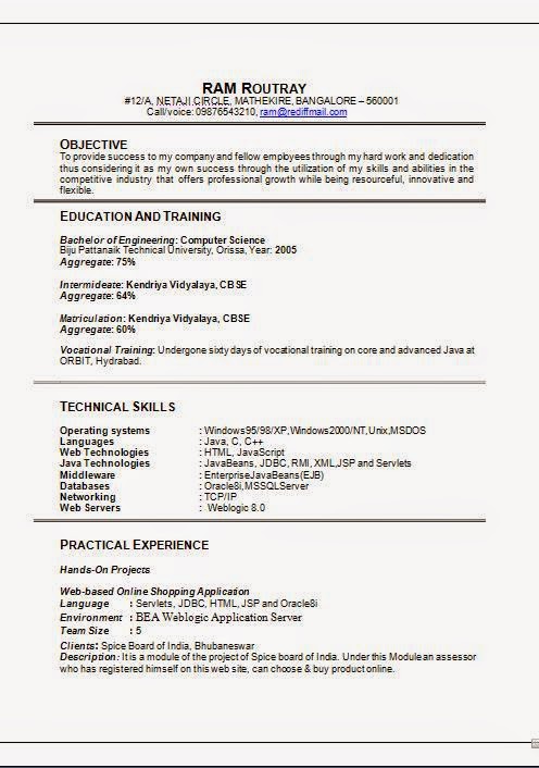 international curriculum vitae template