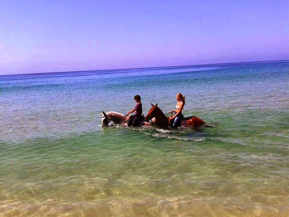 abc Travel: HORSES RIDING IN THE SAND TOUR