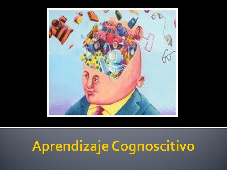 TEORIAS CONTEMPORANEAS DEL DESARROLLO DEL APRENDIZAJE : PROCESO DE ...