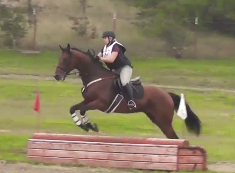 Eventing in Color: Eventing Explained: Scoring