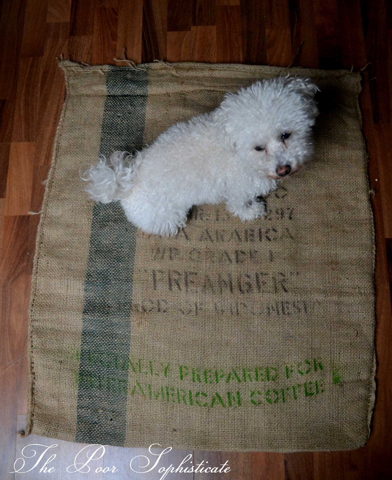 the poor sophisticate: Coffee Bag Rugs, Vintage Luggage and Authentic ...