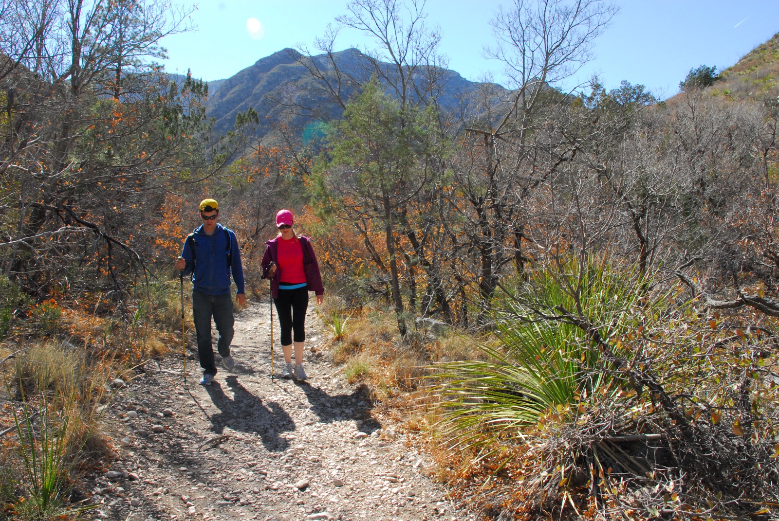 Texas Mountain Trail Daily Photo: McKittrick Canyon Hike, Guadalupe ...