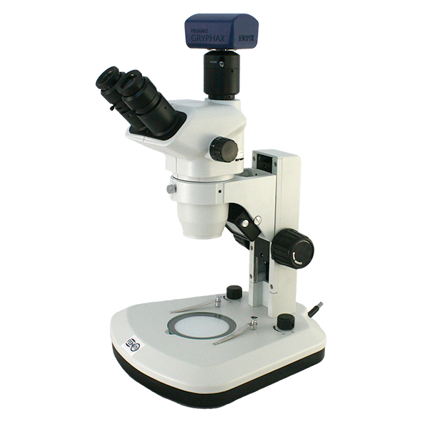 Microscope World Blog: October 2016