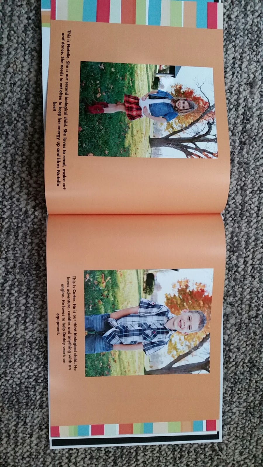 The Farrell Flock: Foster Care to Adoption: The Welcome Book