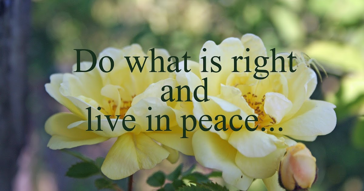 Live Life: Live In Peace