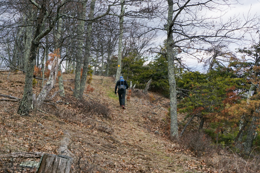 Lost River State Park, West Virginia