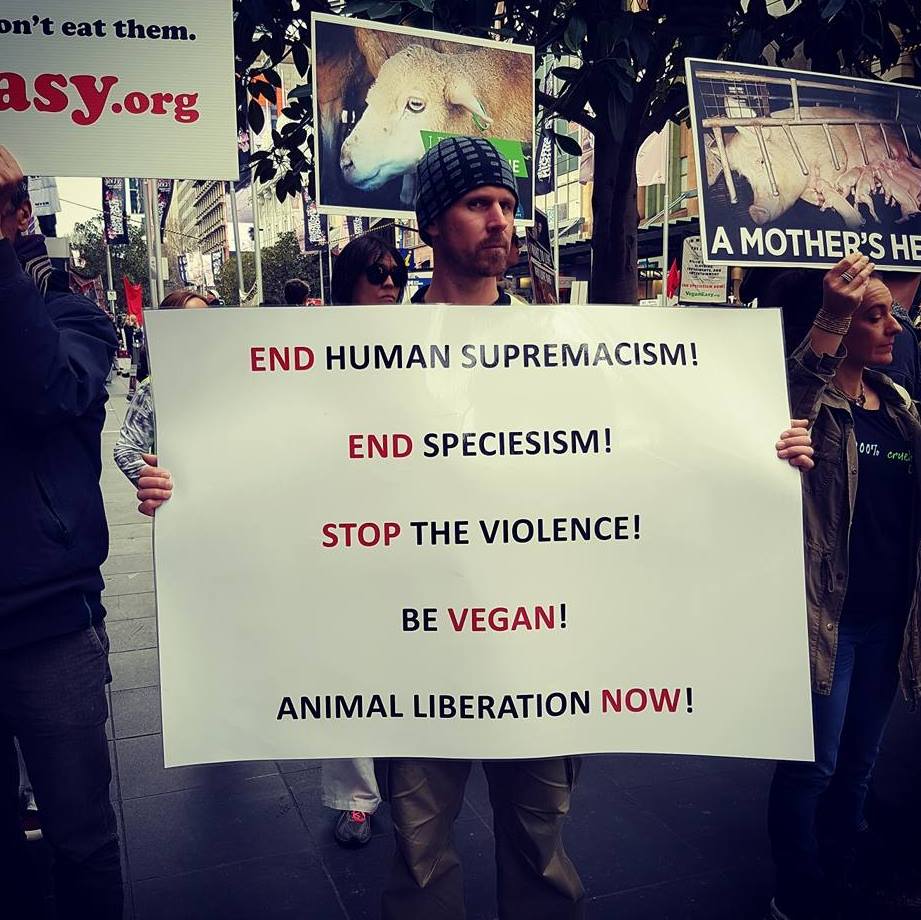 VEGANISM: A TRUTH WHOSE TIME HAS COME: 125+ Photos ~ VEGAN -Signs-of ...