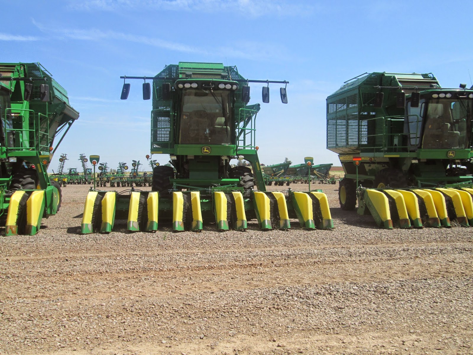 Observations in Agriculture: In the Land of Cotton